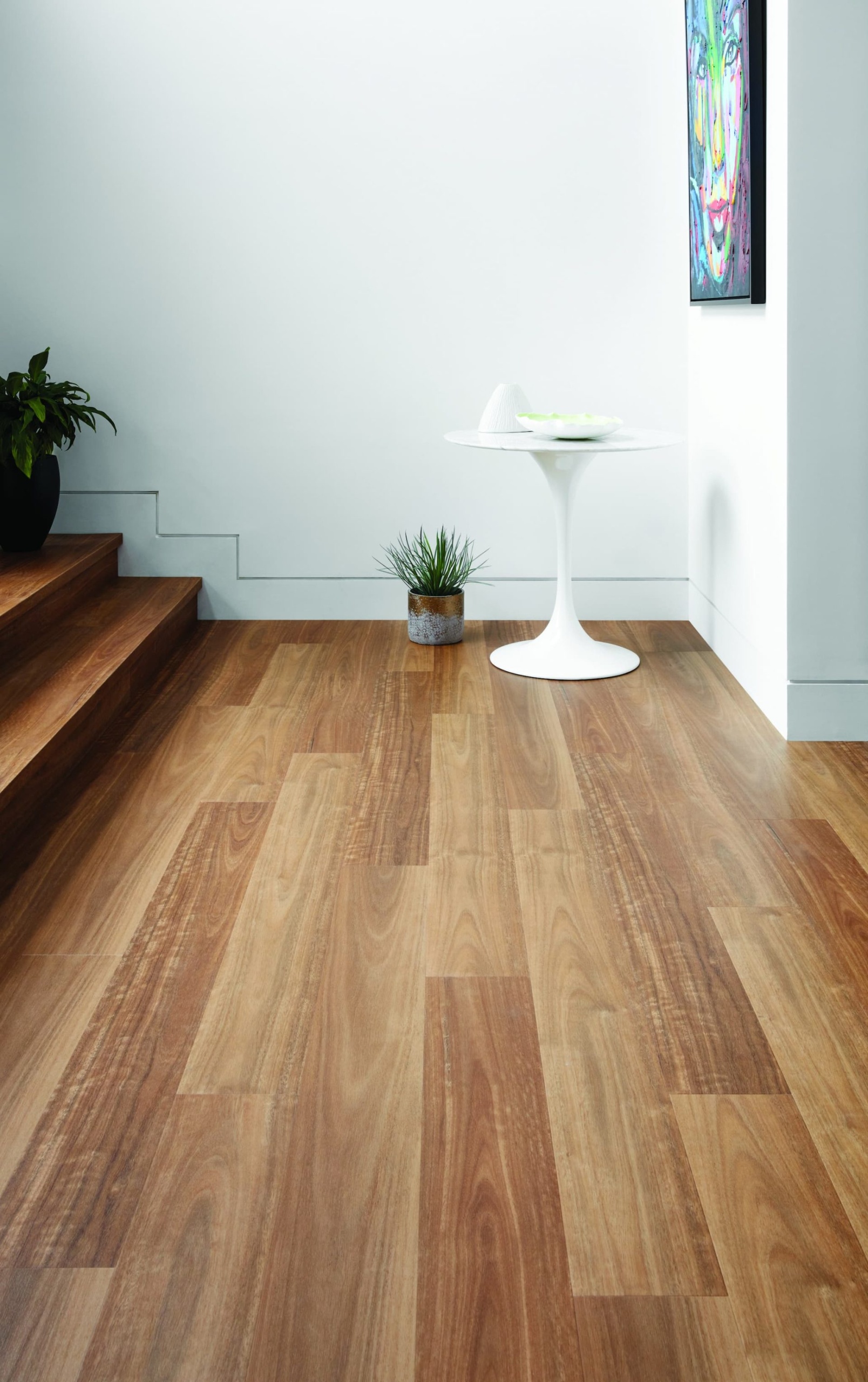 Spotted Gum - Hi Style